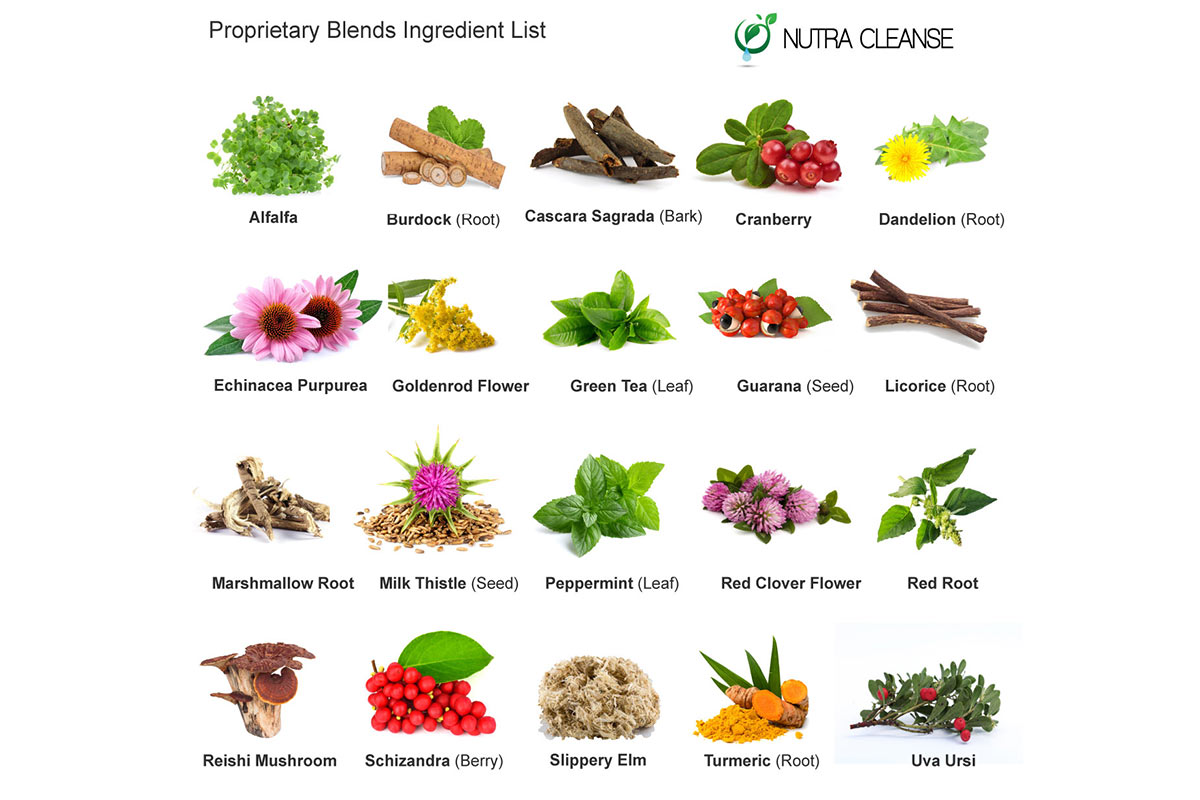 10 Day Ultra Detoxification Program – PassYourTest.com 10 Day Ultra Detoxification Program – PassYourTest.com