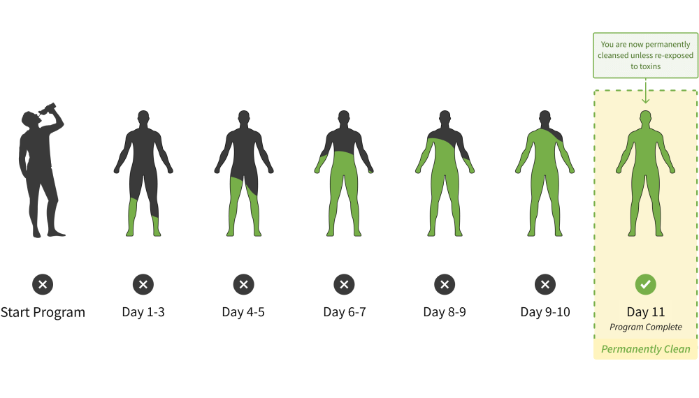 10 Day Ultra Detoxification Program – PassYourTest.com 10 Day Ultra Detoxification Program – PassYourTest.com